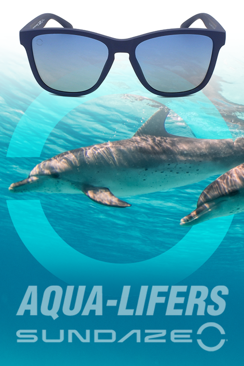 Cool, Polarized and Affordable Shades - Sundaze Rays